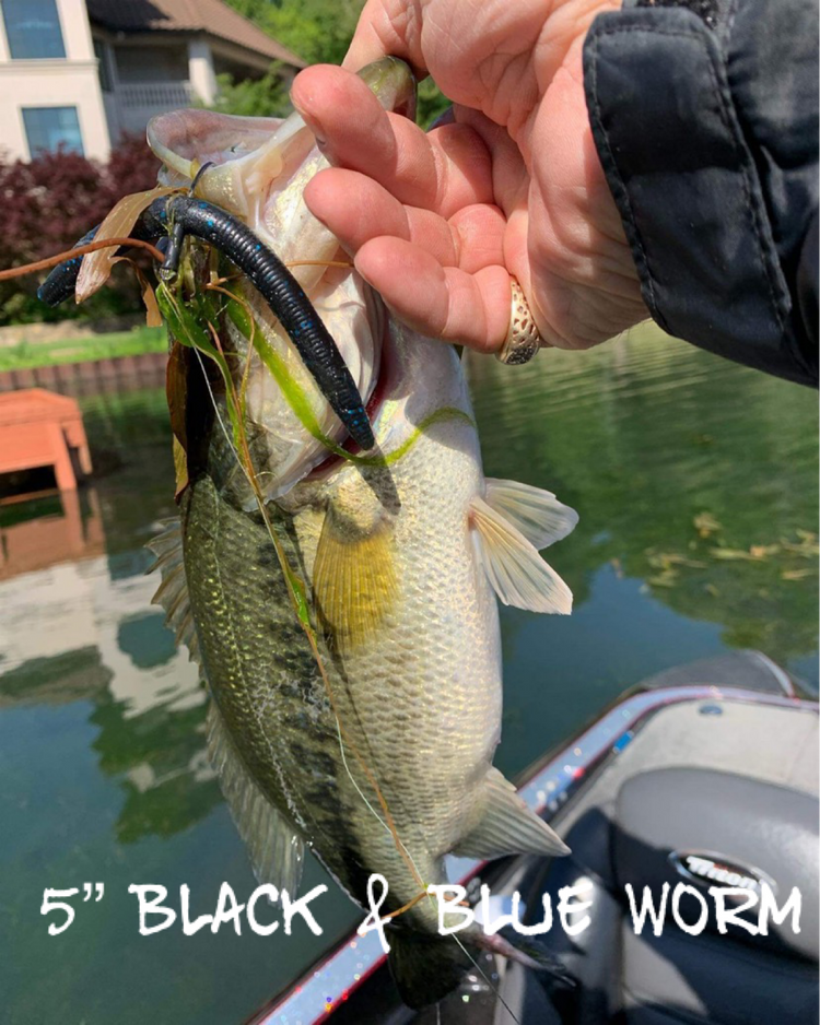 EAST TEXAS CUSTOM BAITS – East Texas Custom Baits