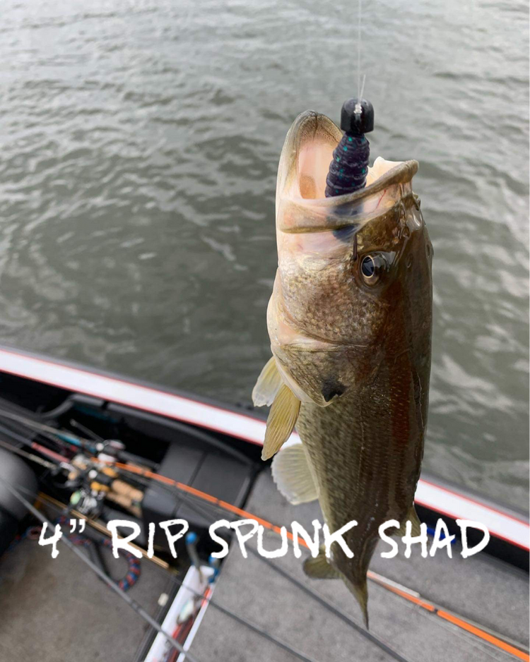 EAST TEXAS CUSTOM BAITS – East Texas Custom Baits